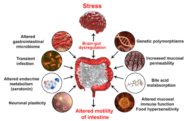 The Steps to Digestion: A Quick Guide - 23 Nutrition Therapy